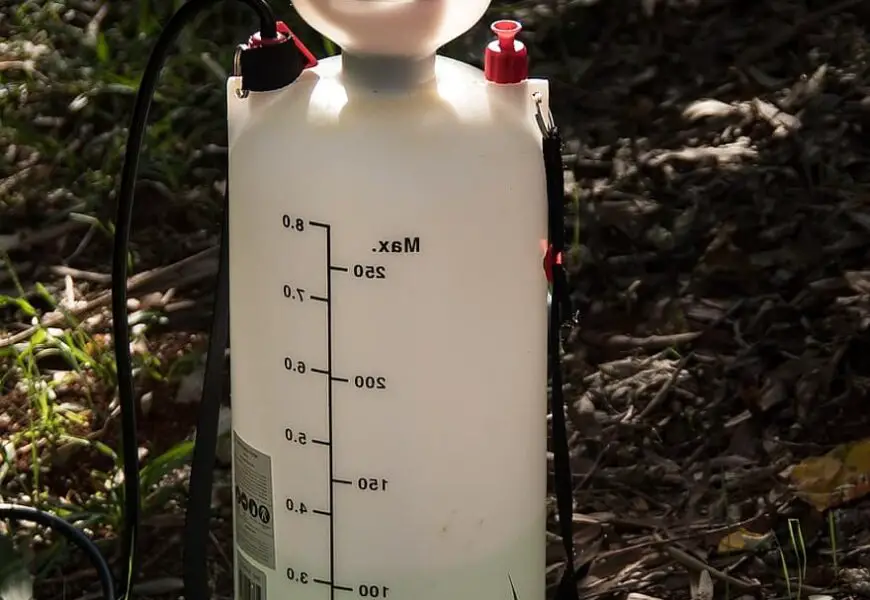 Weed Killer Spray - What You Need to Know - Lawn and Petal