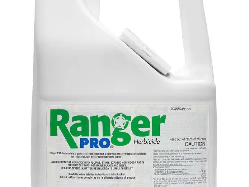 Ranger Pro Herbicide - Is It A Good Fit For You? - Lawn and Petal
